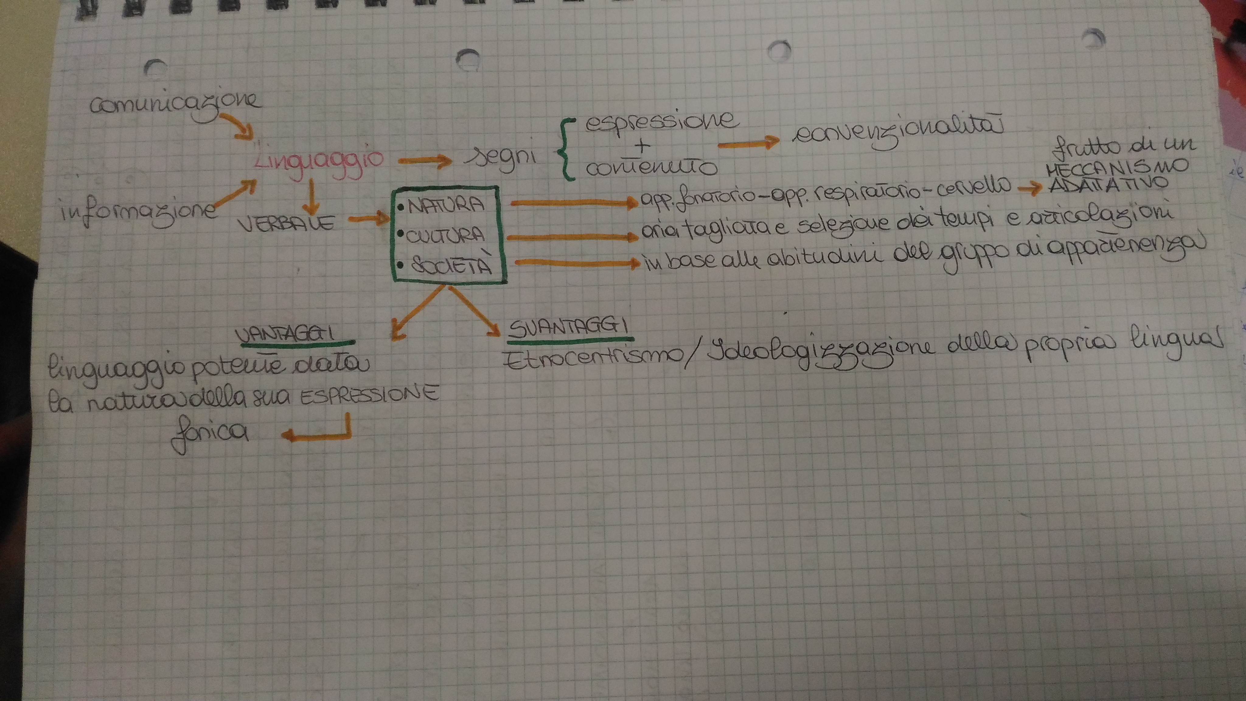 foto schema – DIDATTICA PER COMPETENZE, INNOVAZIONE METODOLOGICA E ...